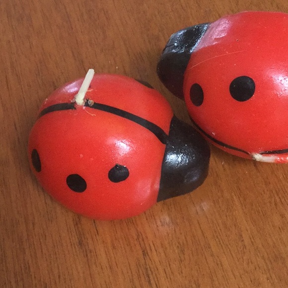 Royal candles | Accents | Ladybug Cute As A Bug Candles Bundle Of Two ...